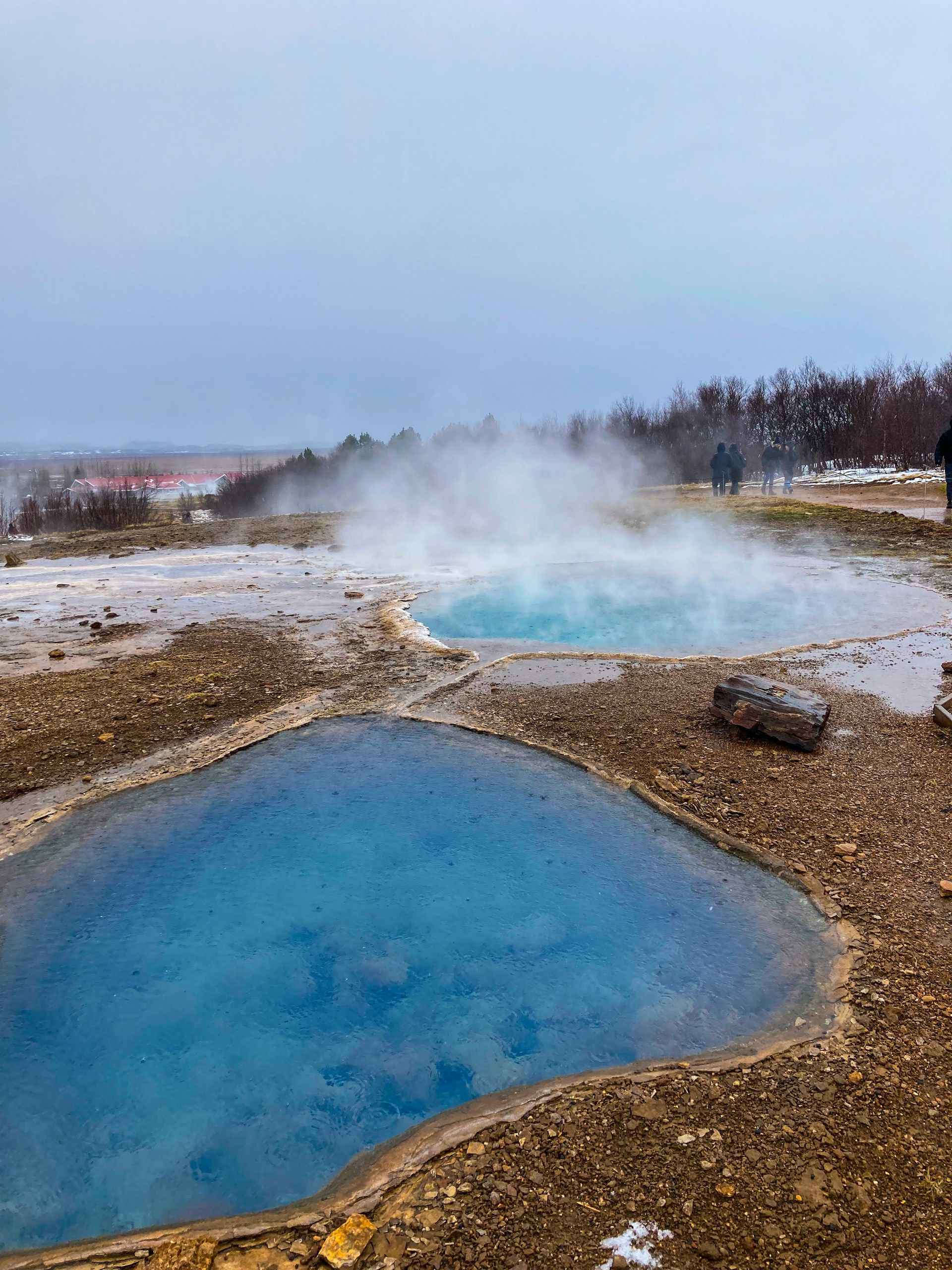 Geyser in Islanda: dove si trovano e cosa sono | WeRoad
