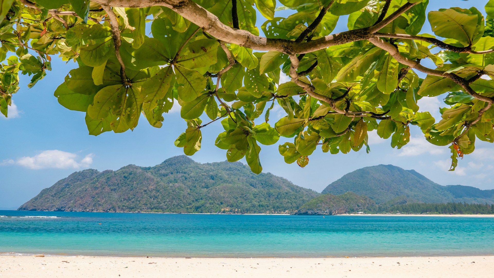 Cosa vedere a Sumatra: giungla e isole incontaminate | WeRoad